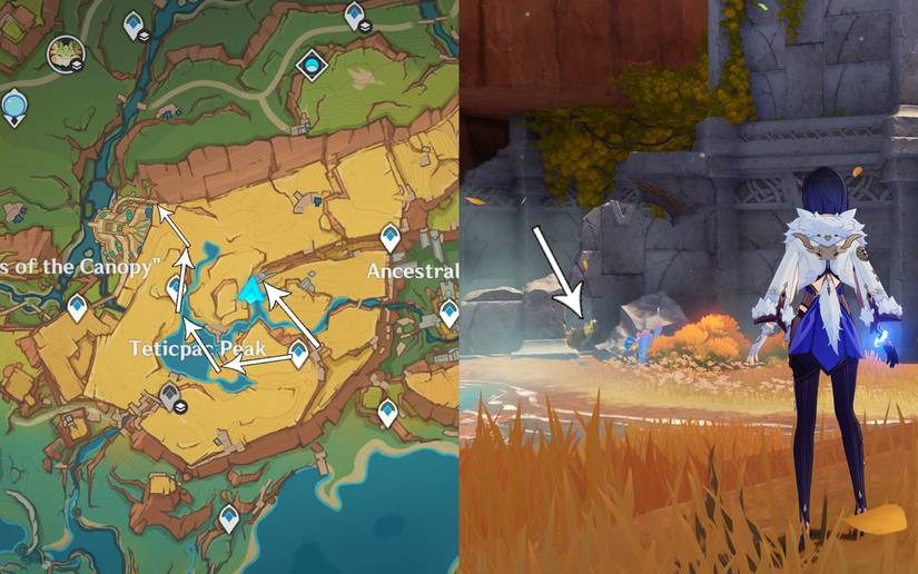 Quenepa Berry locations and best farming route in Genshin Impact