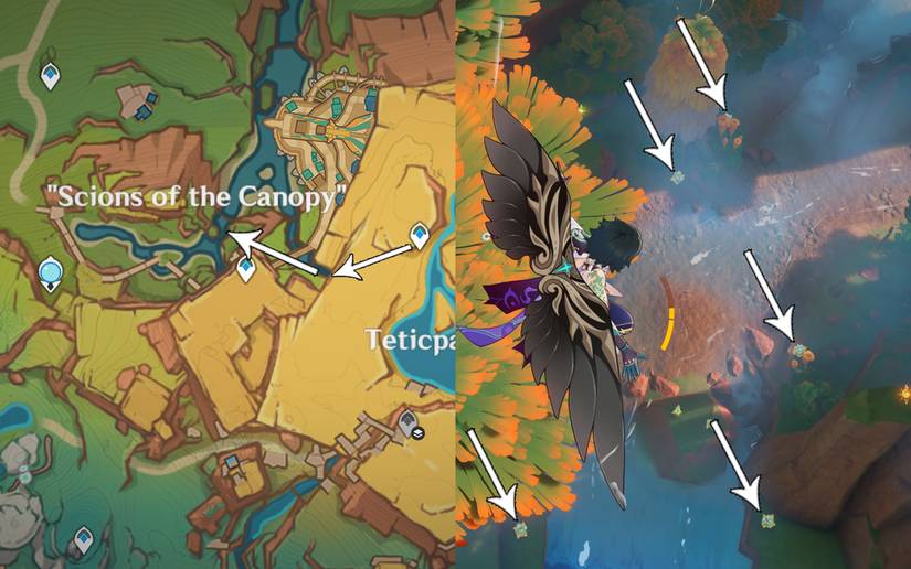 Quenepa Berry locations and best farming route in Genshin Impact