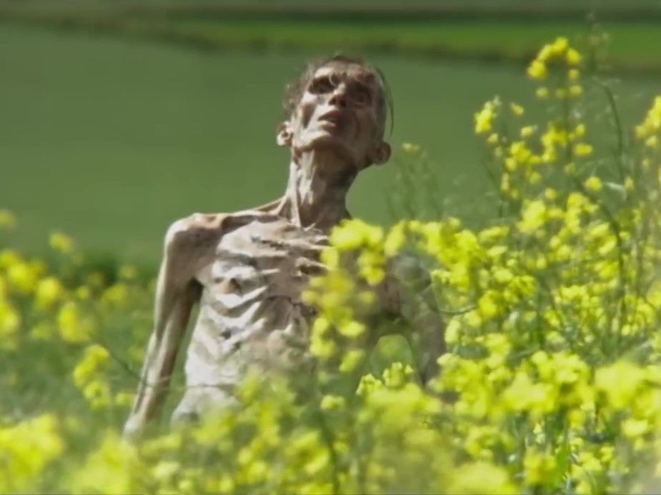 28 Years Later trailer: Is that zombie Cillian Murphy?