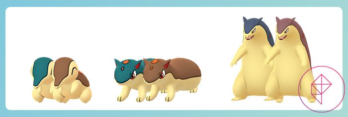 Typhlosion Evolution Chart