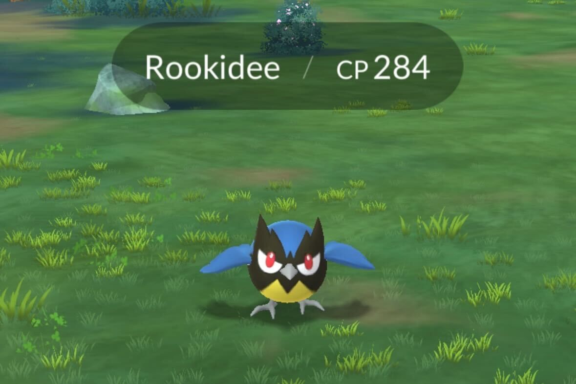 How to get Rookidee in Pokémon Go