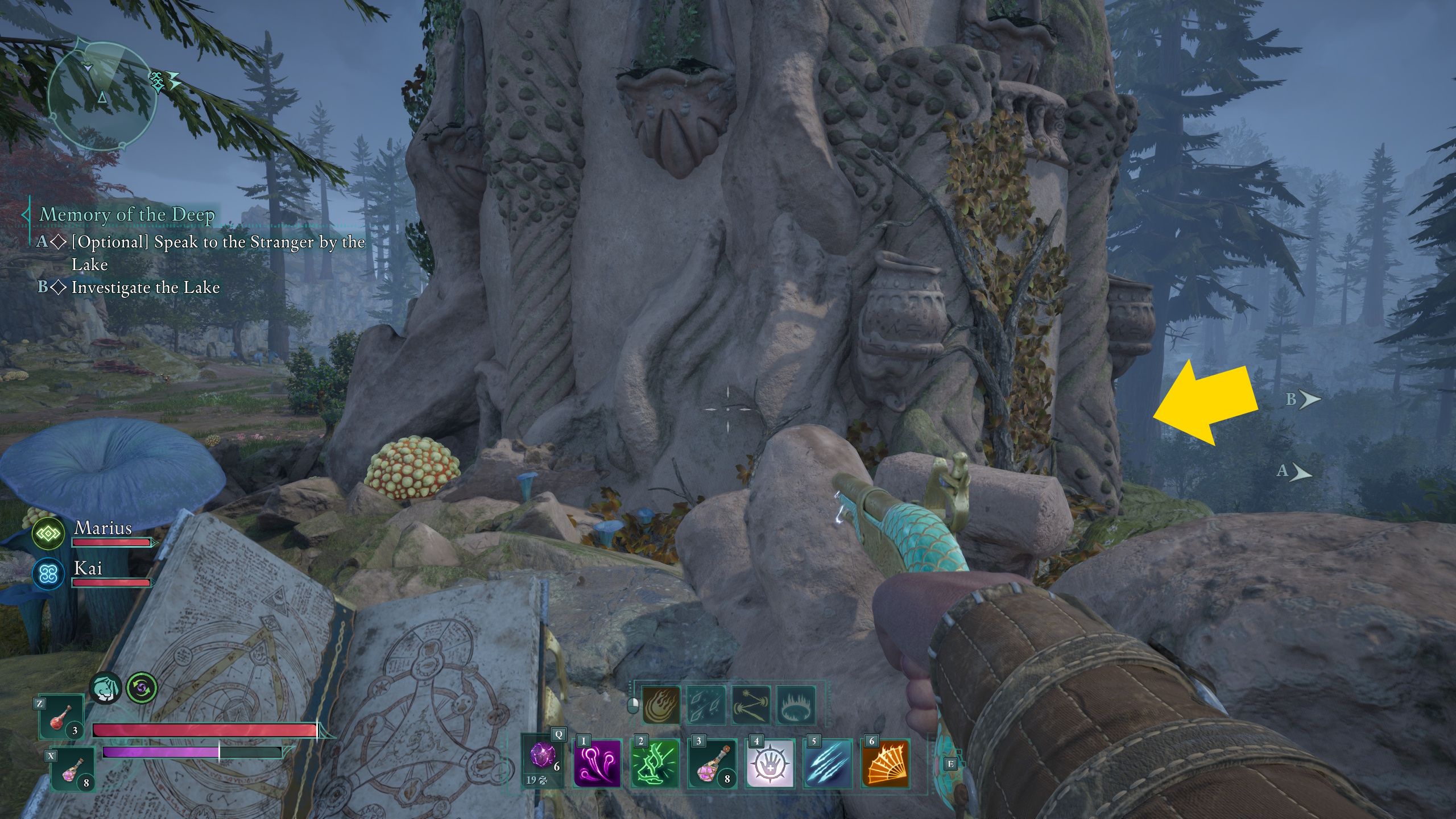Earthly Aegis treasure map location and solution in Avowed