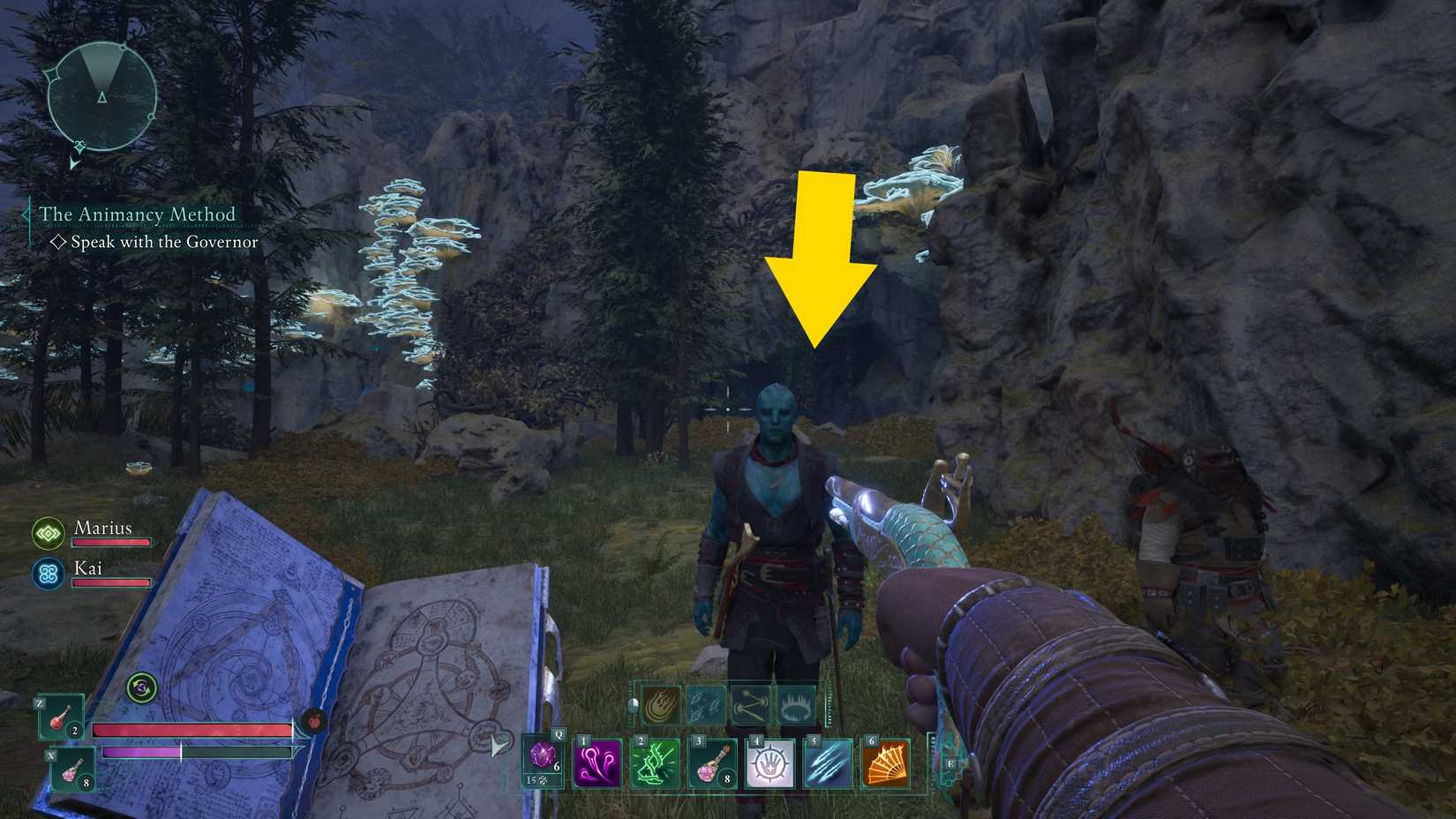 Practical Pockets treasure map location and solution in Avowed