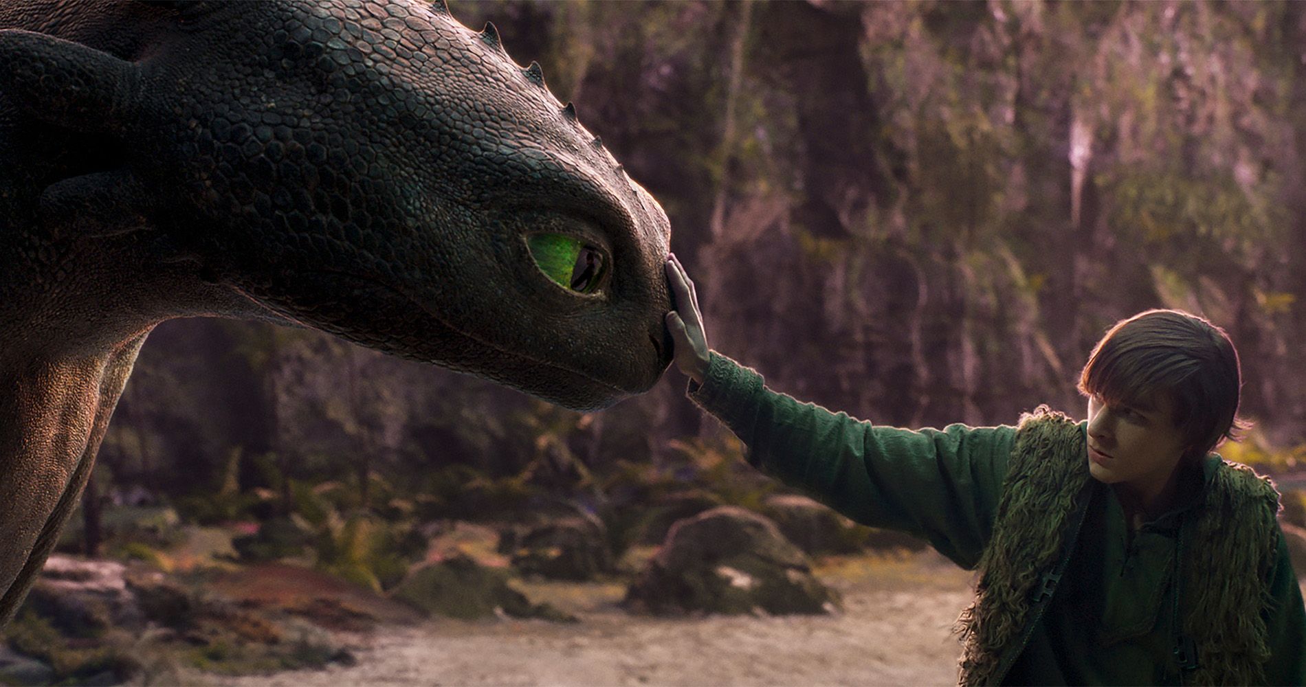 How to Train Your Dragon star says no one noticed his toughest stunt
