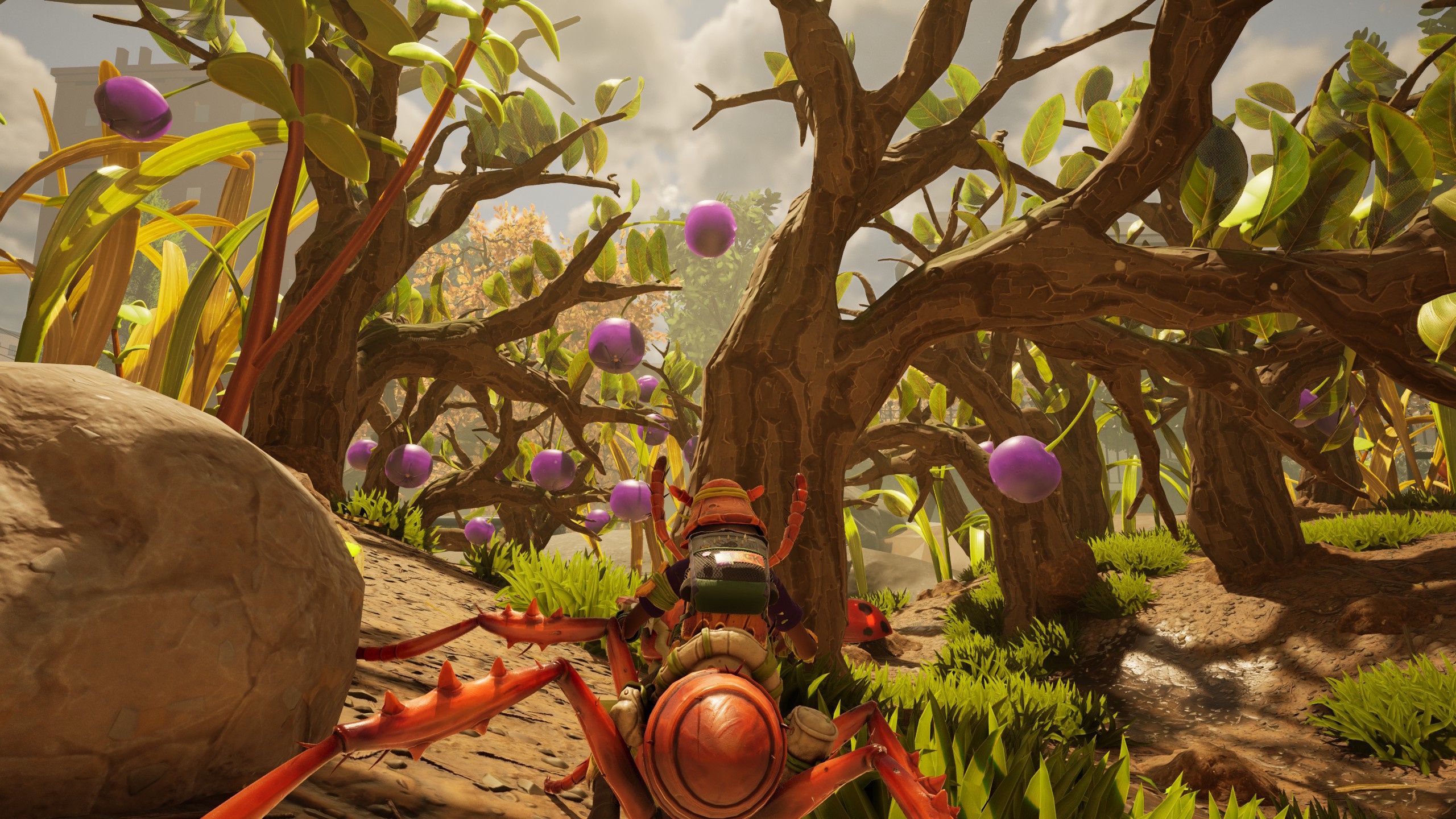 Where to find blueberries for blueberry leather in Grounded 2