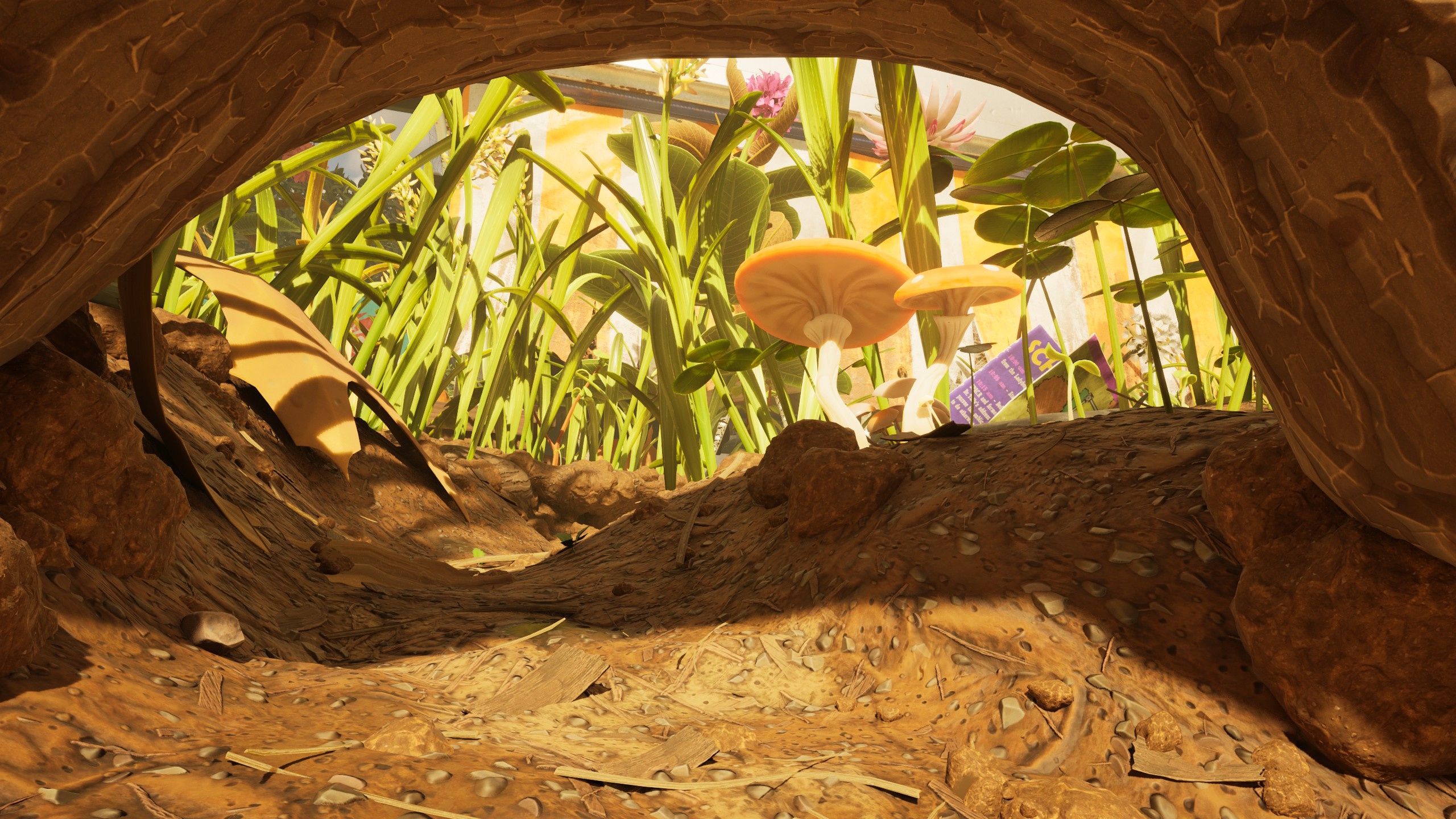 Where to find grass seeds in Grounded 2