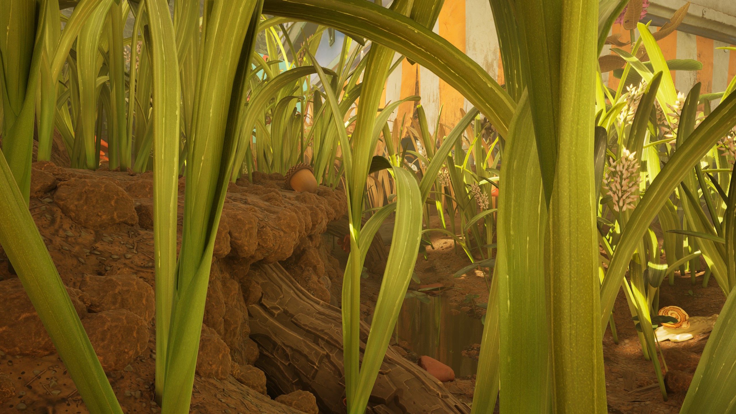 Where to find acorn shells and acorn tops in Grounded 2