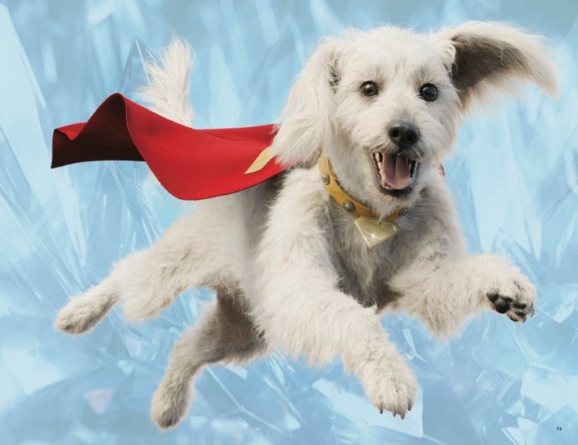 Superman needs a DCU video game — so why not a Krypto one?