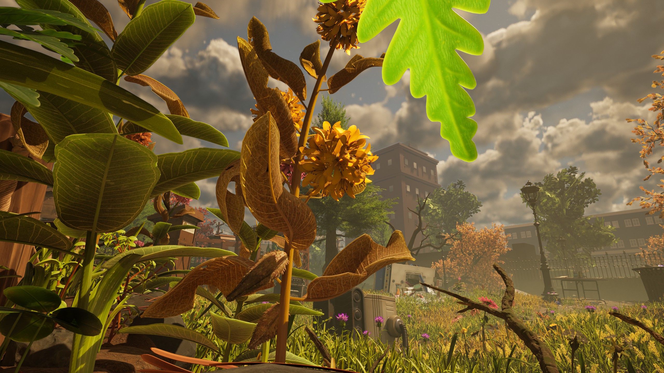 Where to find milkweed and milkweed tufts in Grounded 2