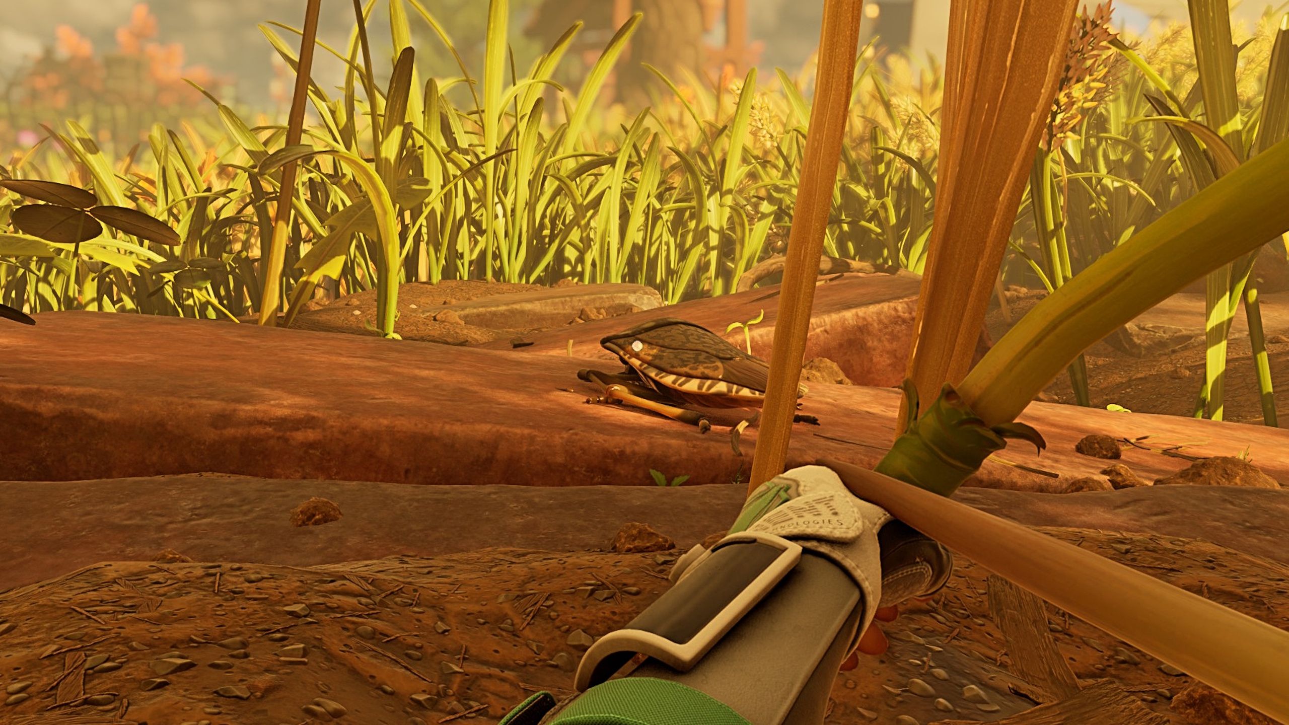 Where to find stinkbugs for stinkbug parts in Grounded 2