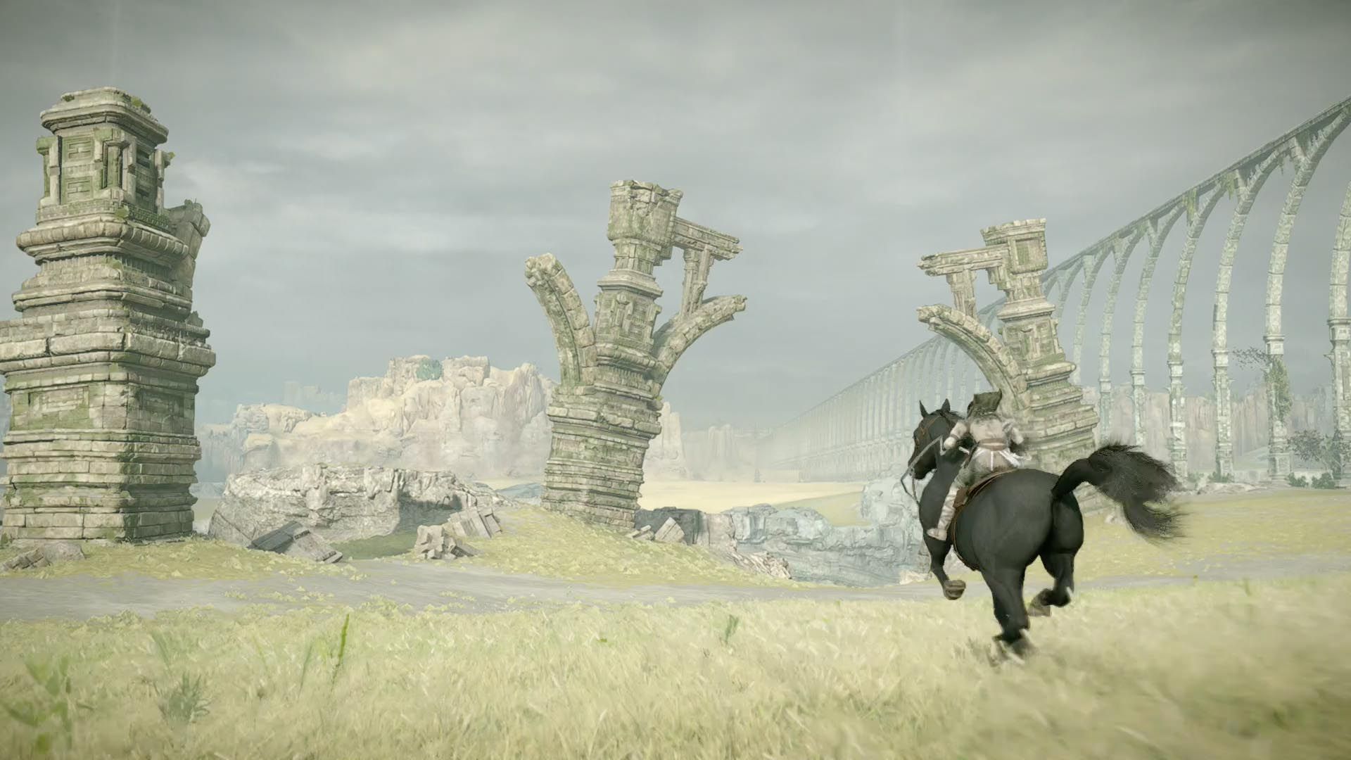 Shadow Of The Colossus 10th Colossus