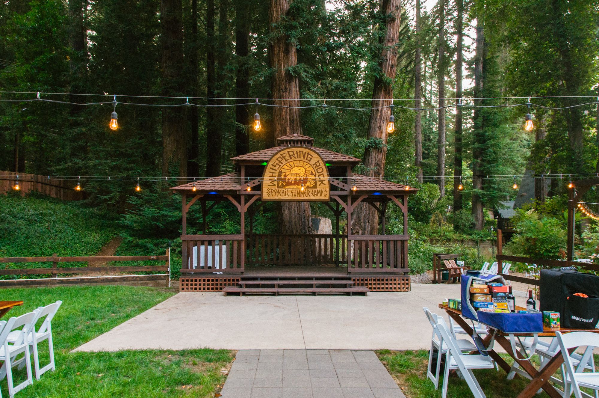 Three days in the woods with Psychonauts 2 backers