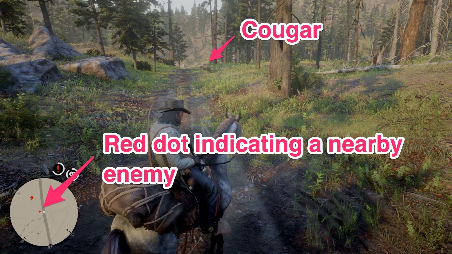 RDR2 cougar locations, hunting guide and maps