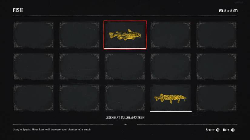 Find RDR2 Legendary Fish guide with maps