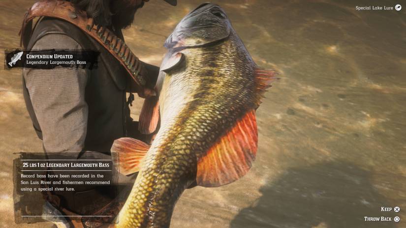 Find RDR2 Legendary Fish guide with maps