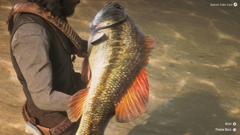 Find RDR2 Legendary Fish guide with maps