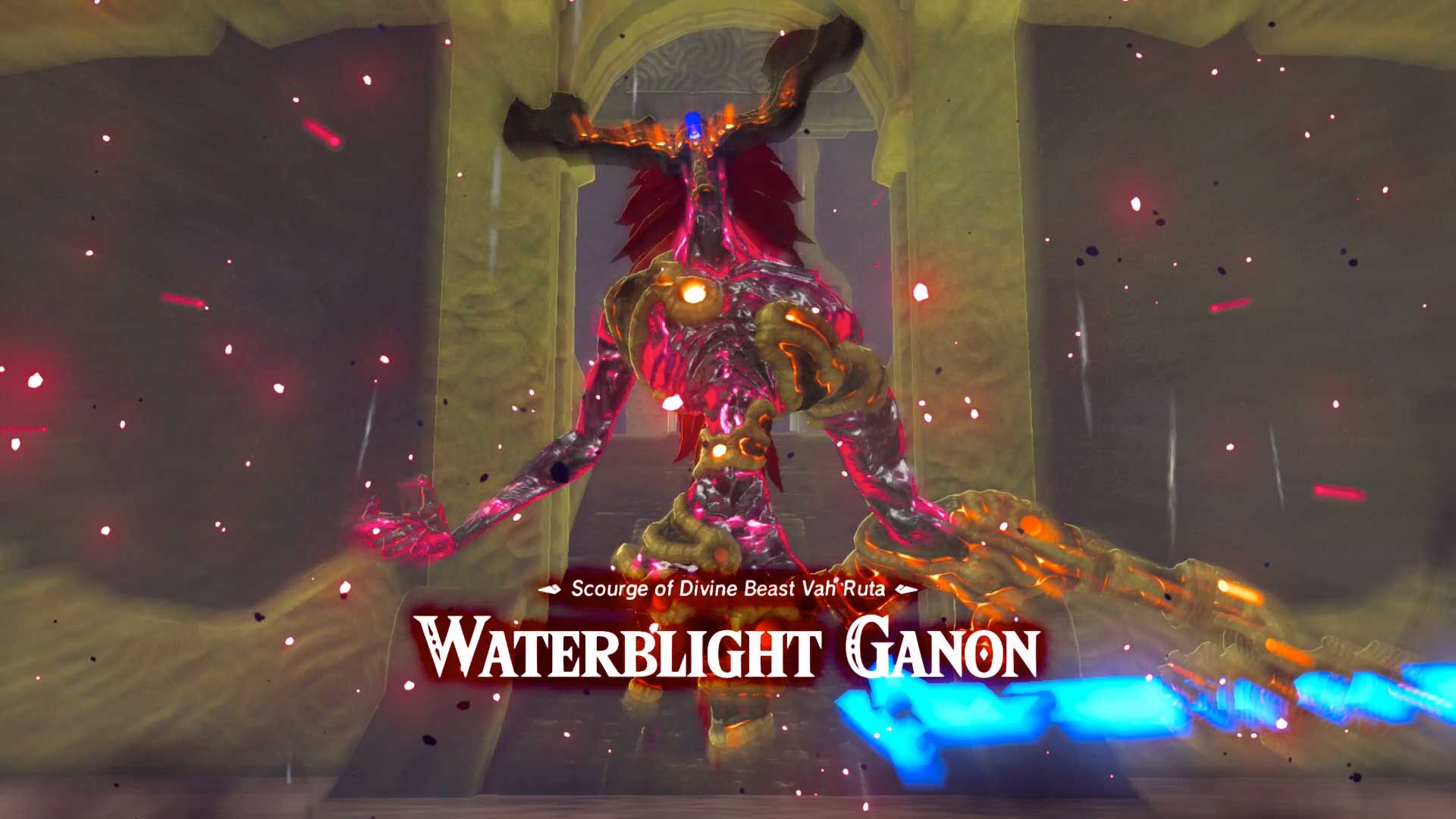 Waterblight Ganon guide