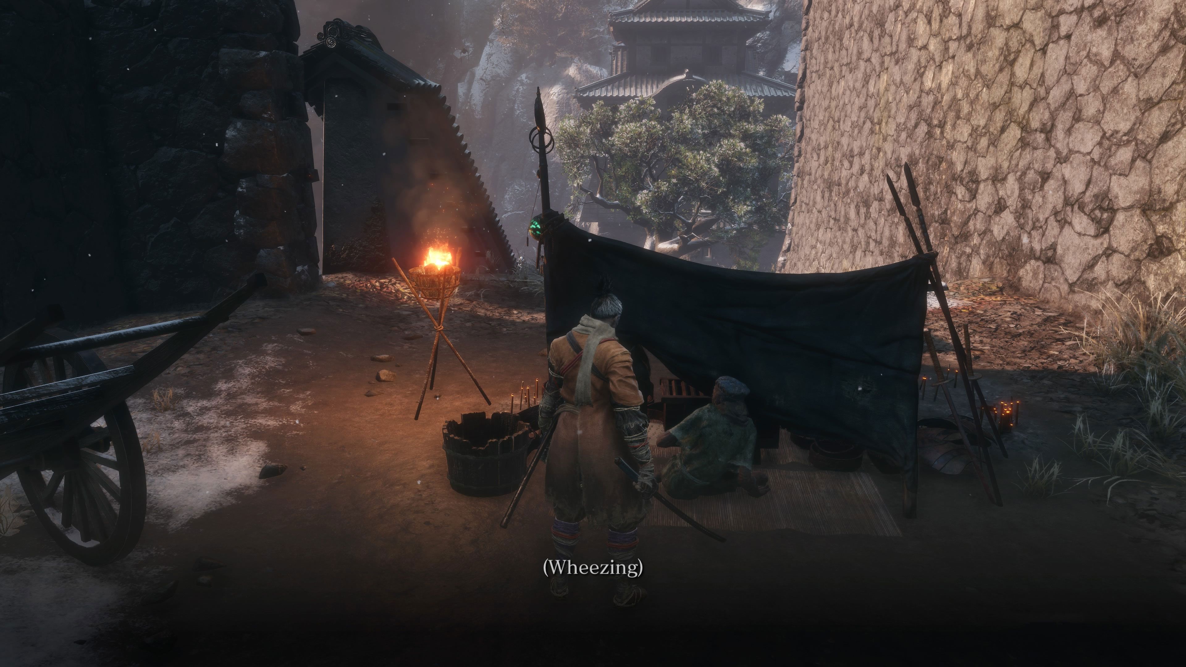 Sekiro Rot Essence and Dragonrot guide
