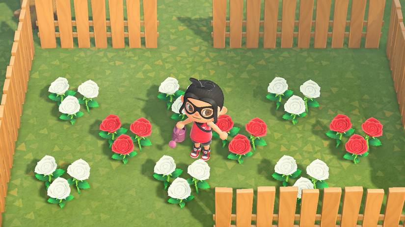 All flowers and hybrids in ACNH