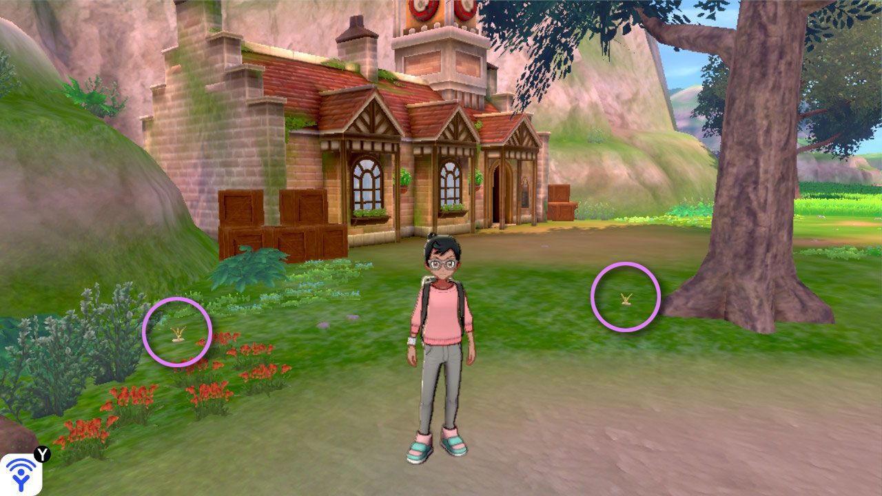 Pokémon Sword and Shield: Isle of Armor Diglett locations and map