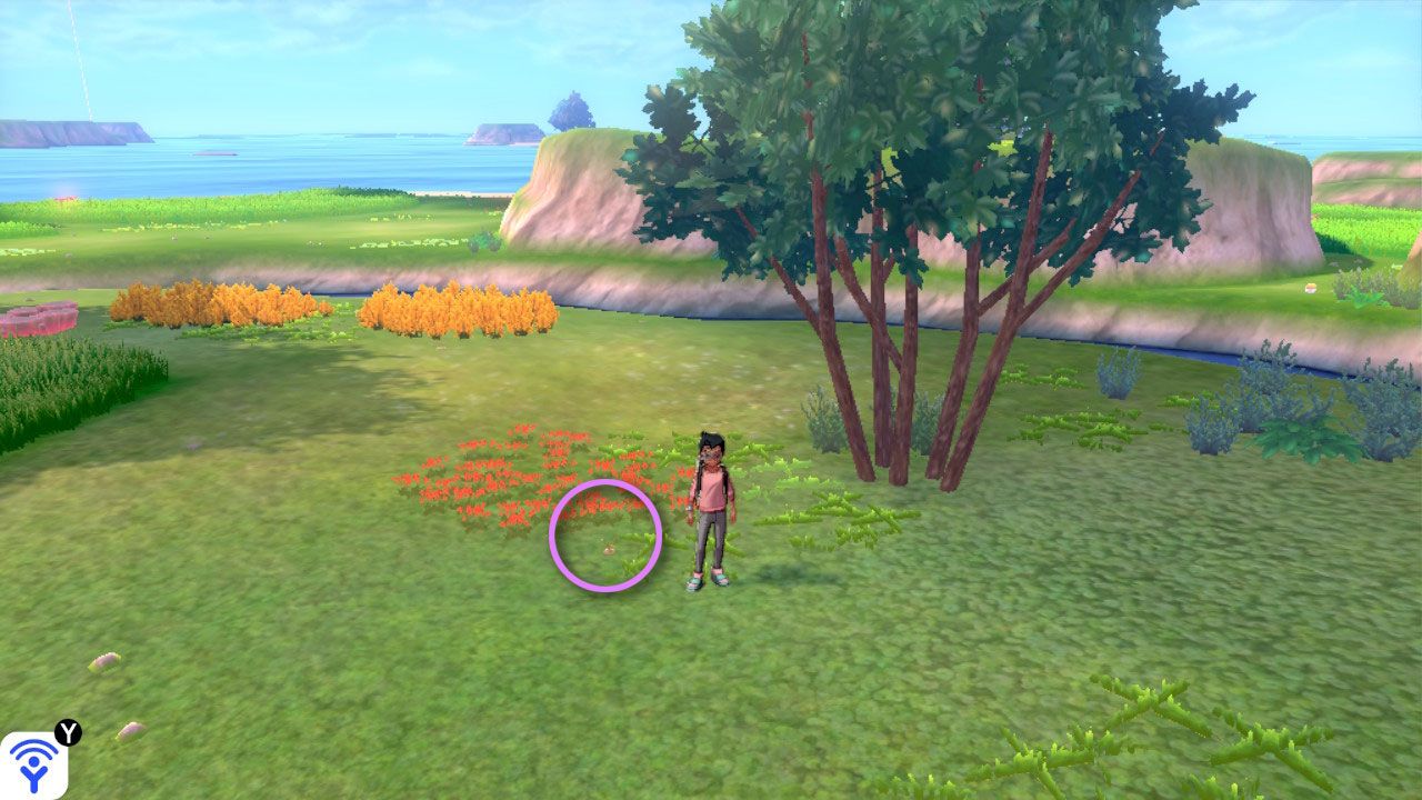 Pokémon Sword and Shield: Isle of Armor Diglett locations and map