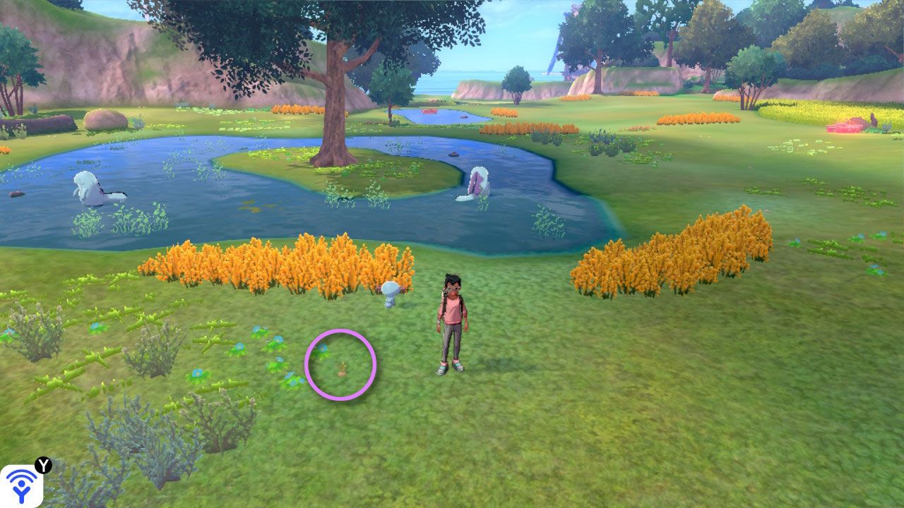 Pokémon Sword and Shield: Isle of Armor Diglett locations and map
