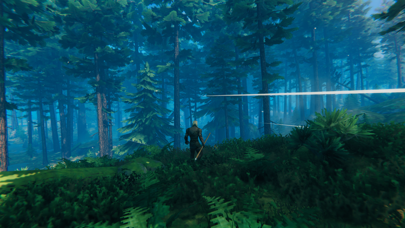 Valheim biome progression order guide