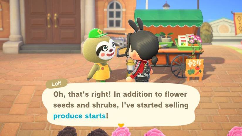 Recipes, cooking, and food in ACNH