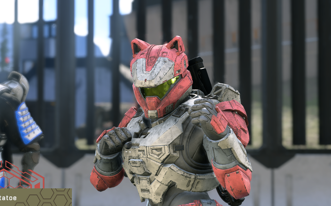 Halo Infinite has a new cat helmet and I love it