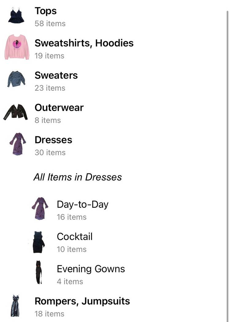 I logged my entire wardrobe into a Clueless-style closet app