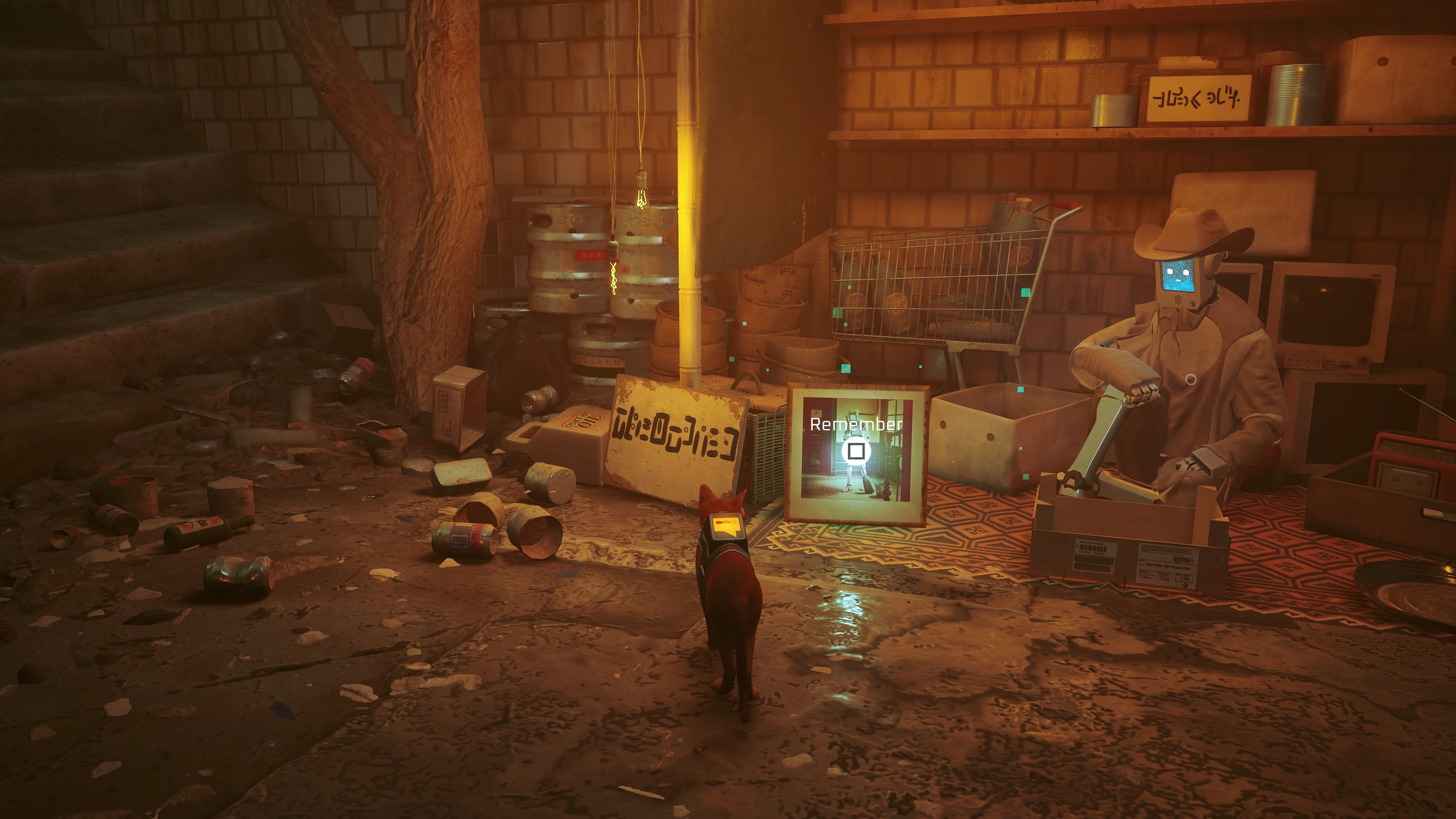 Stray guide: All Memory locations for B12