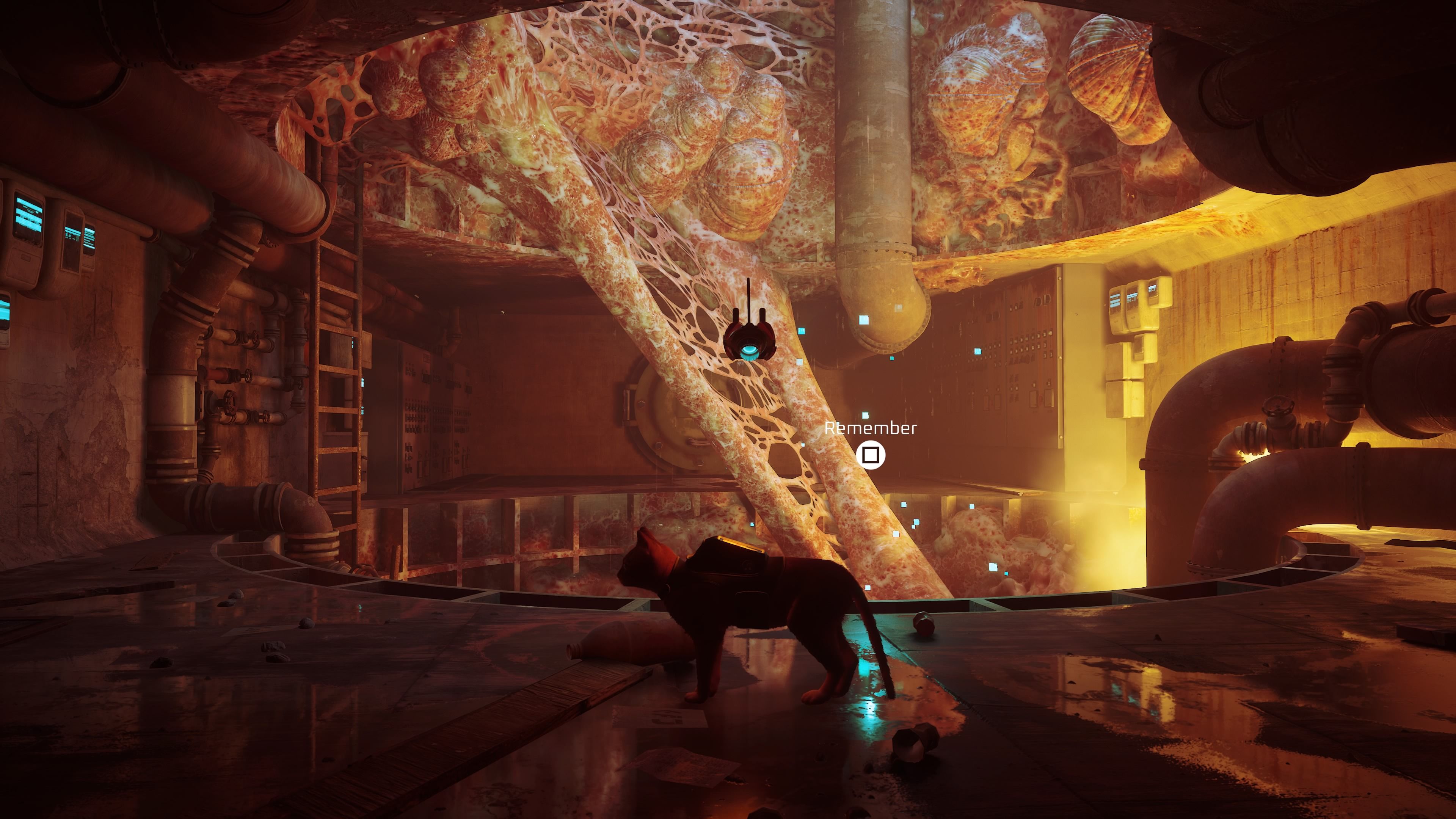 Stray guide: All Memory locations for B12