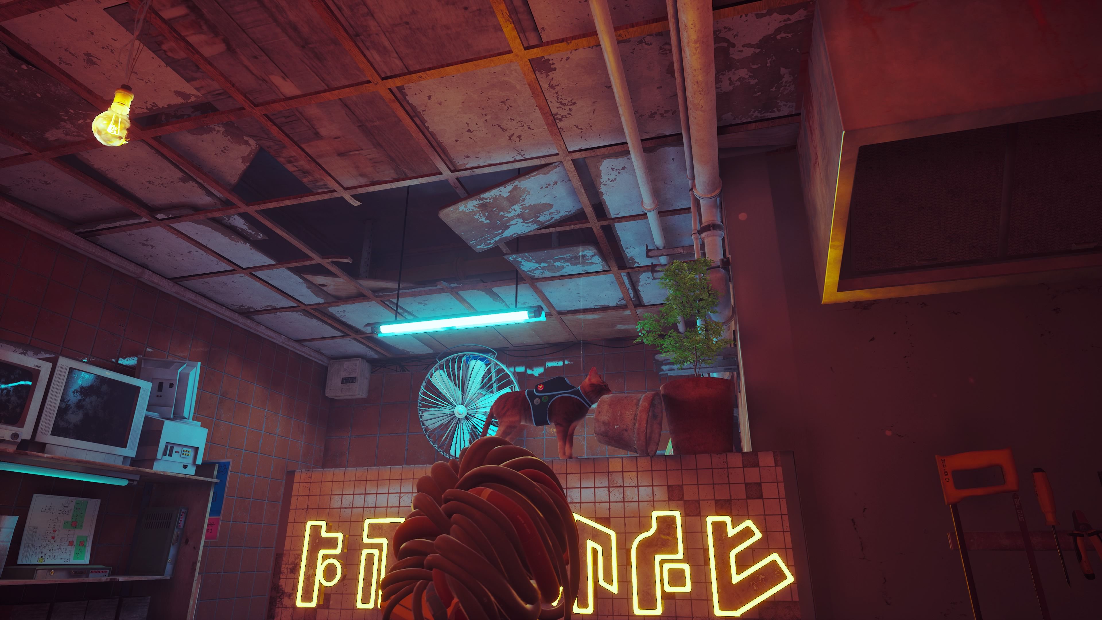 Stray guide: All Memory locations for B12