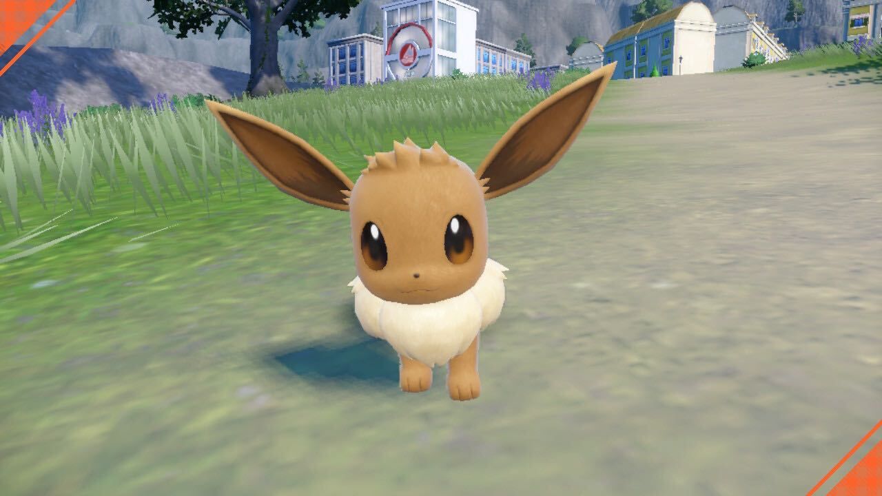 Eevee location in Pokémon Scarlet and Violet: Where to catch Eevee