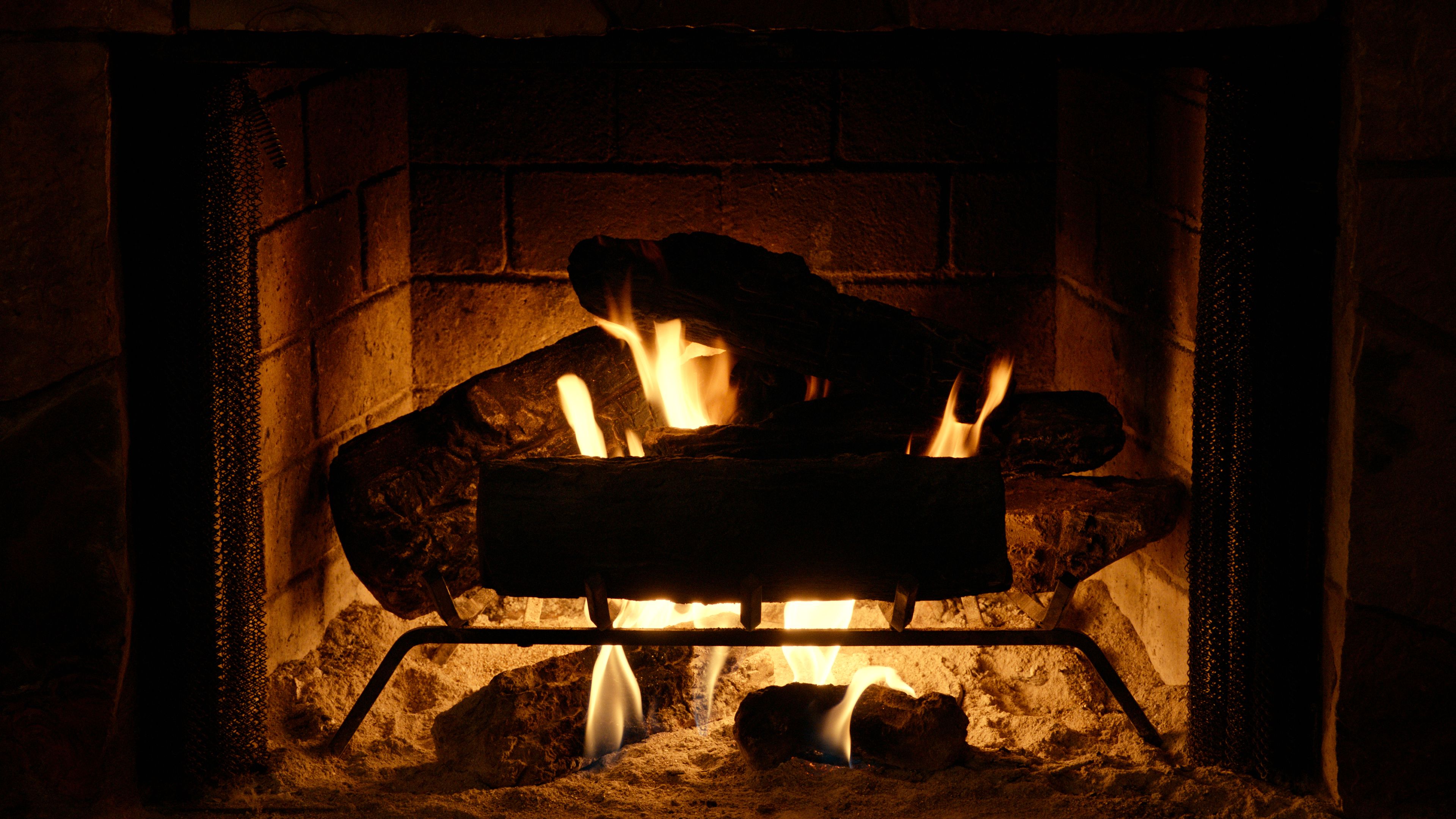 Too Many Cooks creator hid his new horror movie in Adult Swim Yule log