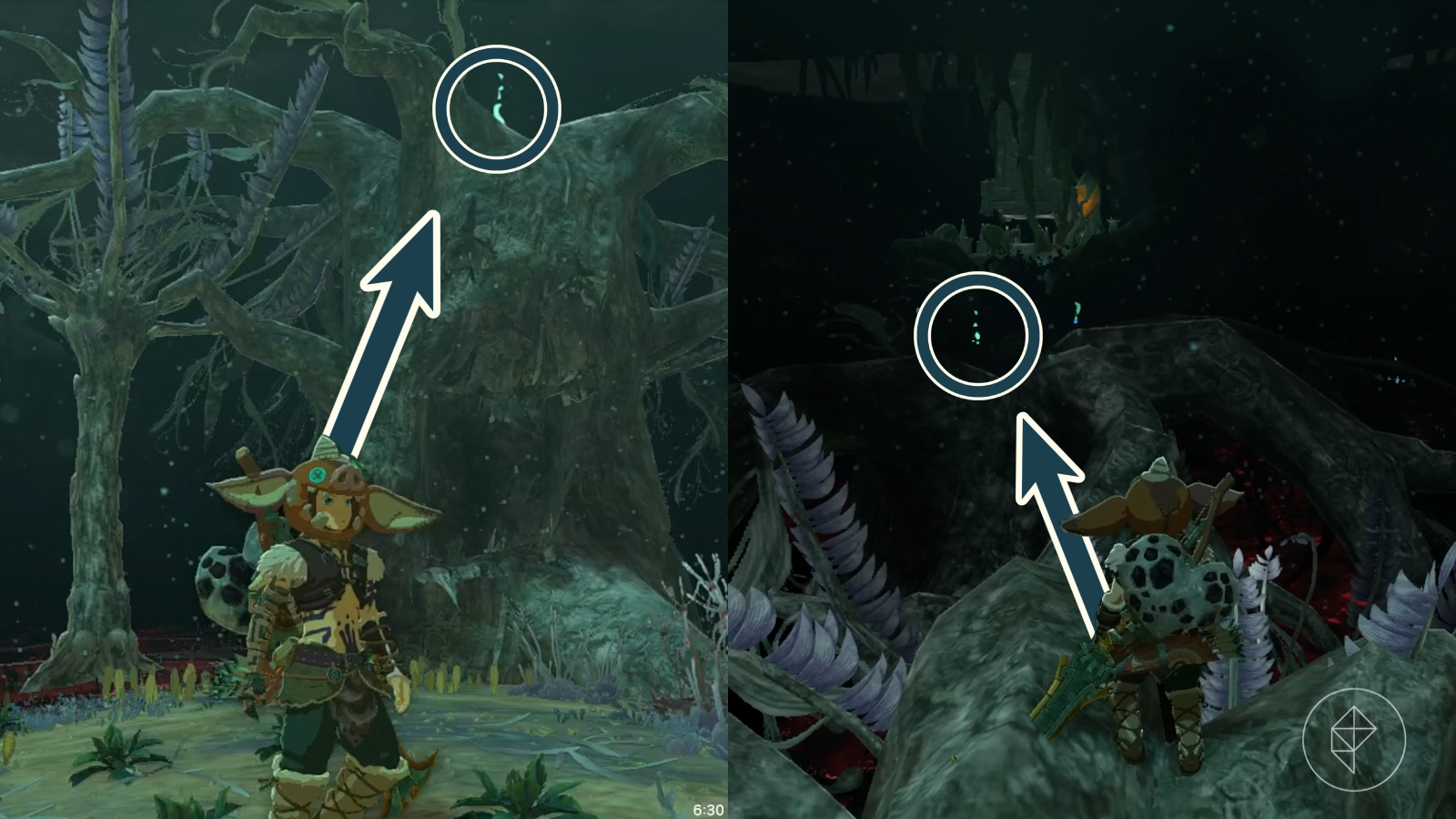 How to get through the Lost Woods in Zelda: Tears of the Kingdom