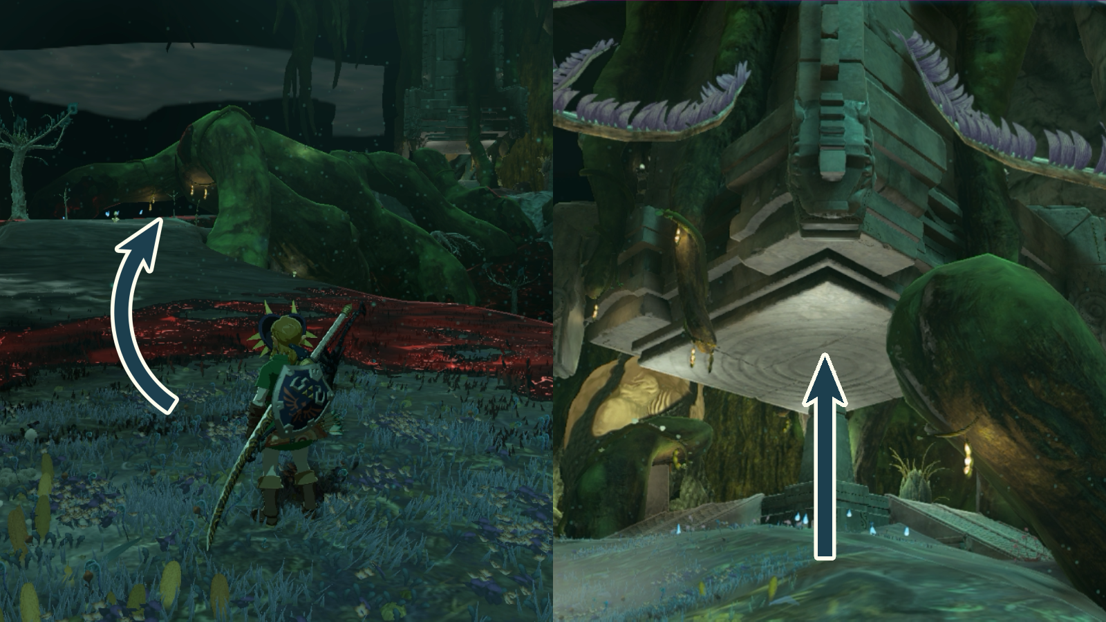 How to get through the Lost Woods in Zelda: Tears of the Kingdom