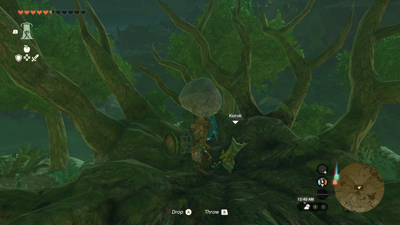 Korok seeds and Korok locations in Zelda: Tears of the Kingdom