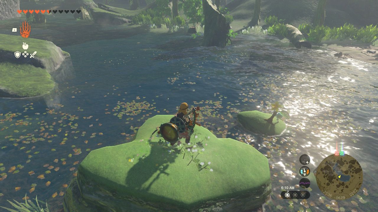 Korok seeds and Korok locations in Zelda: Tears of the Kingdom