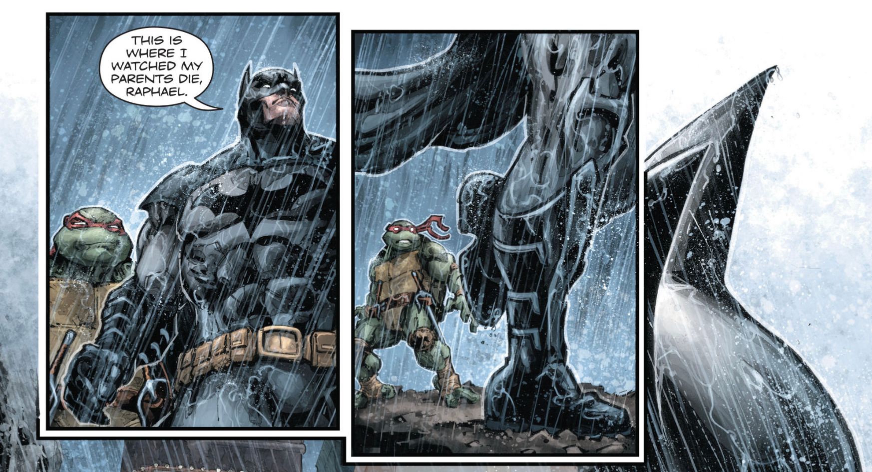 Why Batman showed Raphael from Ninja Turtles where his parents died