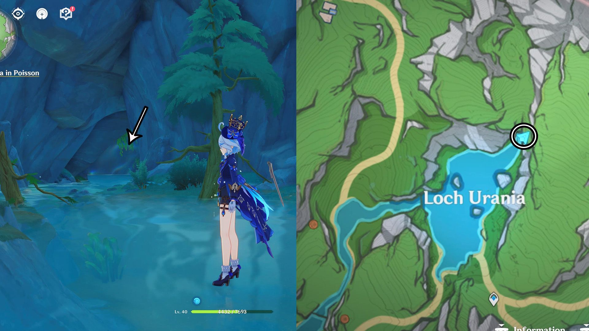 Genshin Impact ‘The Wild Fairy of Erinnyes’ walkthrough