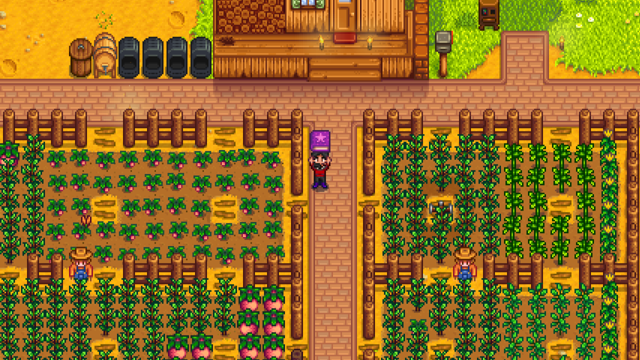 Where to find the bookseller in Stardew Valley and buy new books
