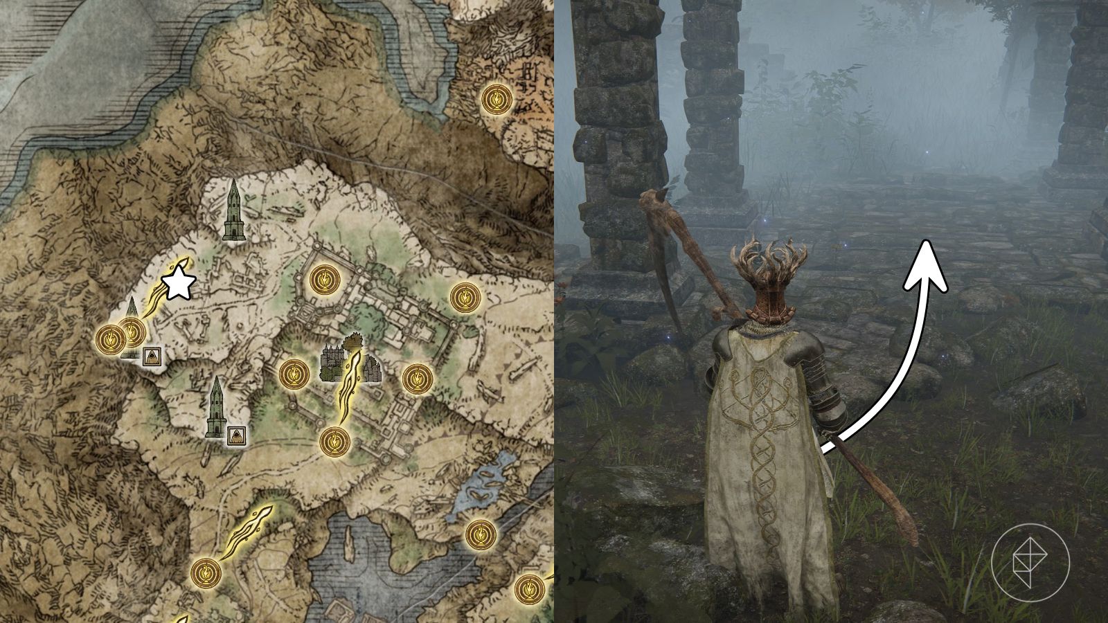 Seluvis questline in Elden Ring, who to give the potion to
