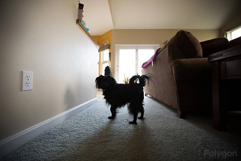 Playgrounds: Brian Crecente