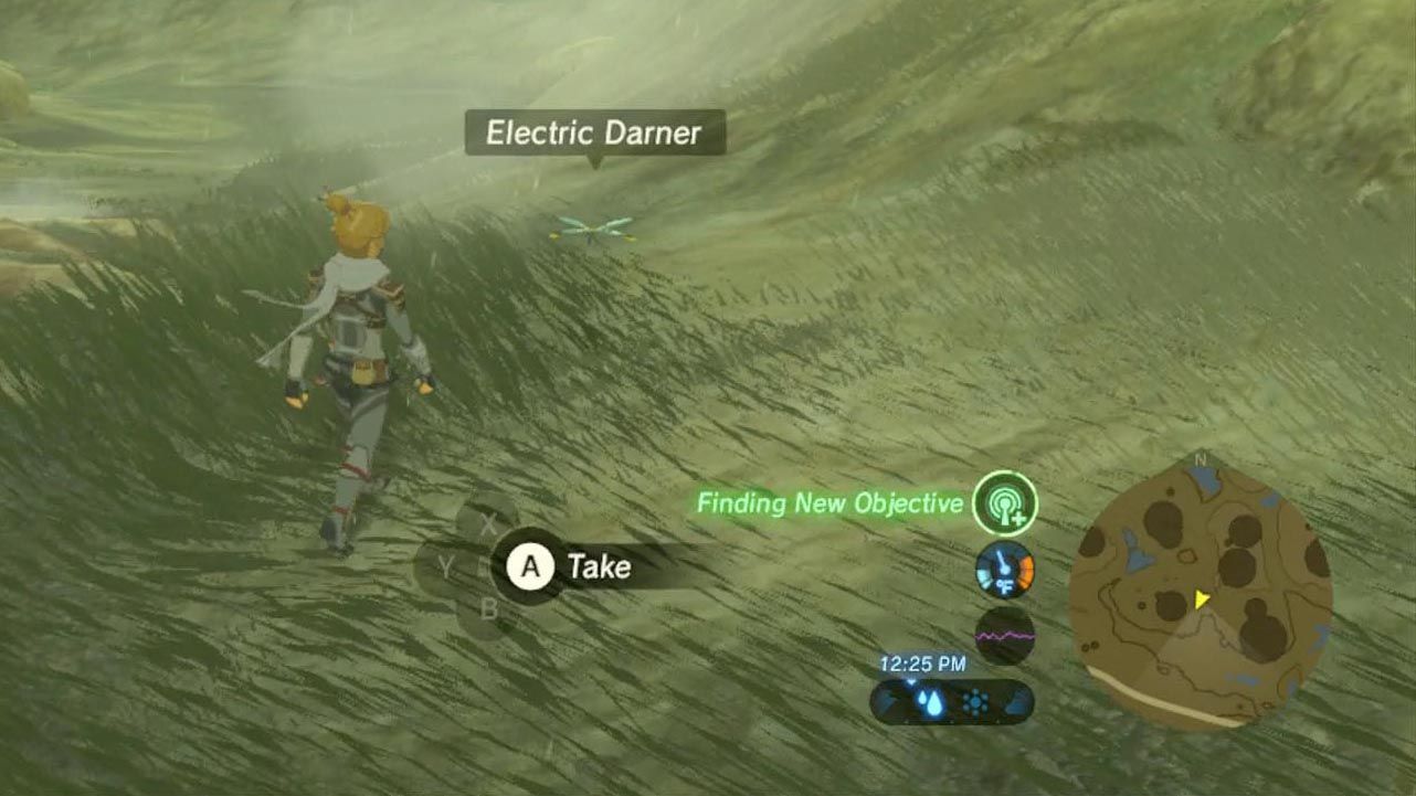 Zelda Breath of the Wild guide: Where to find electric darners