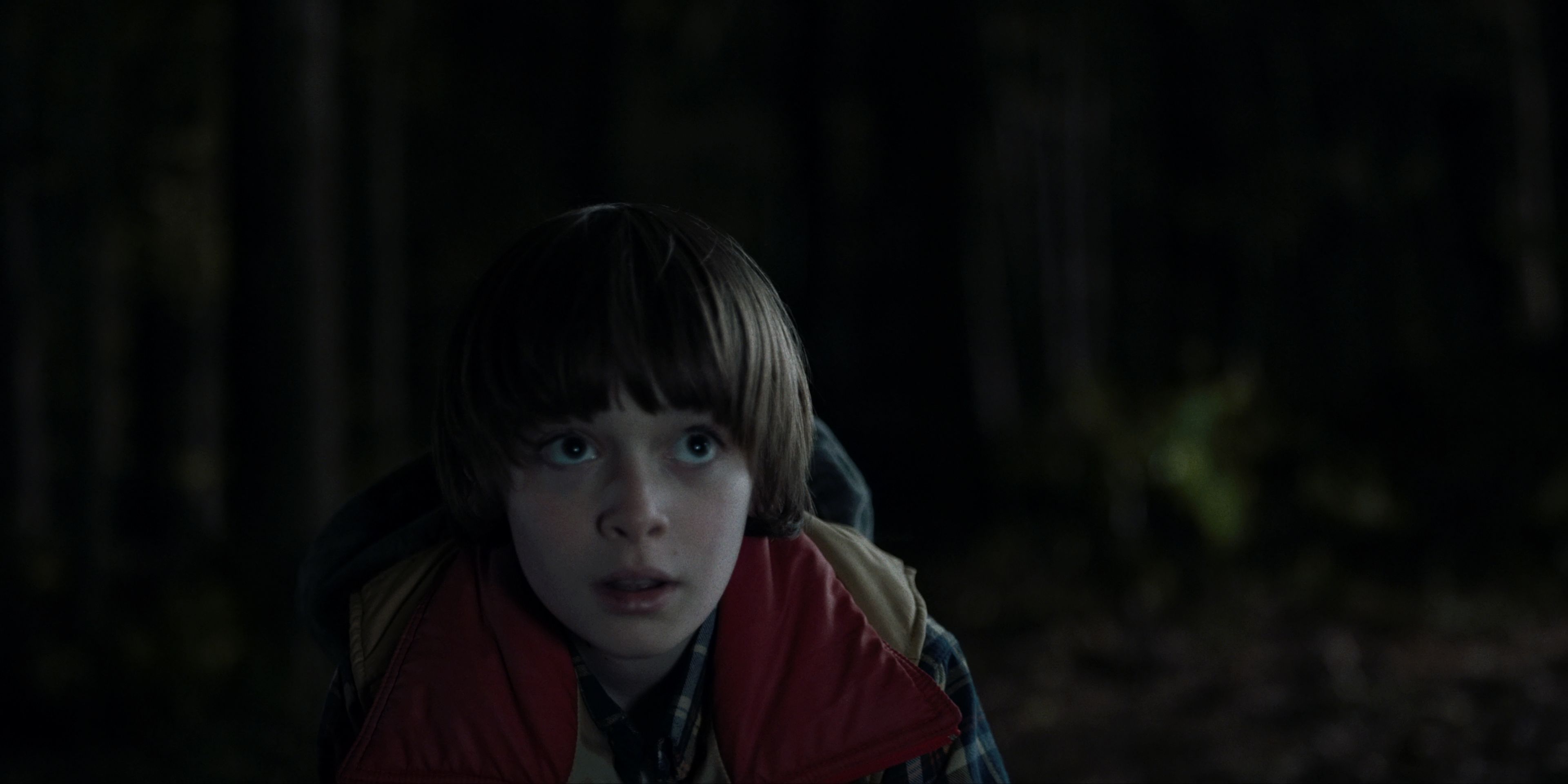 Stranger Things season 1 recap: everything you need to know