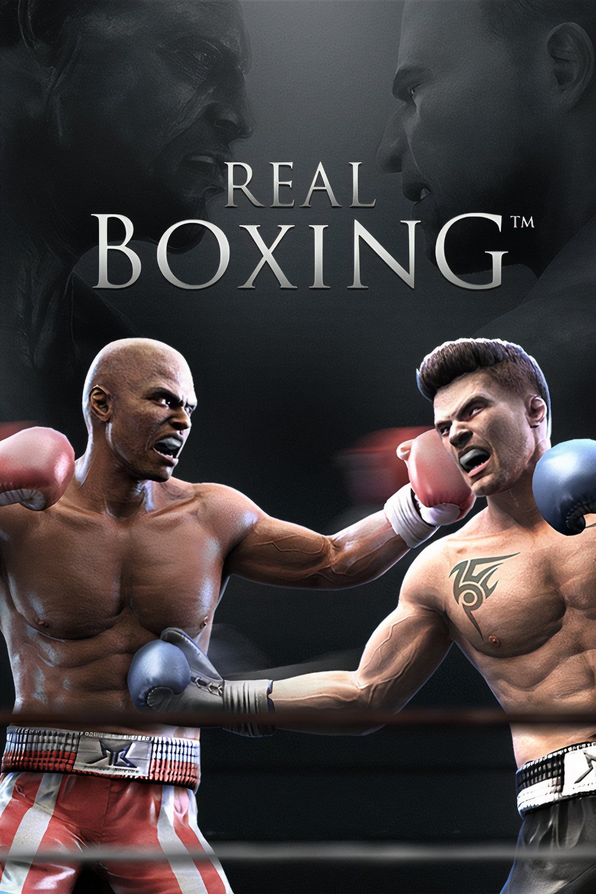 Real Boxing | Polygon