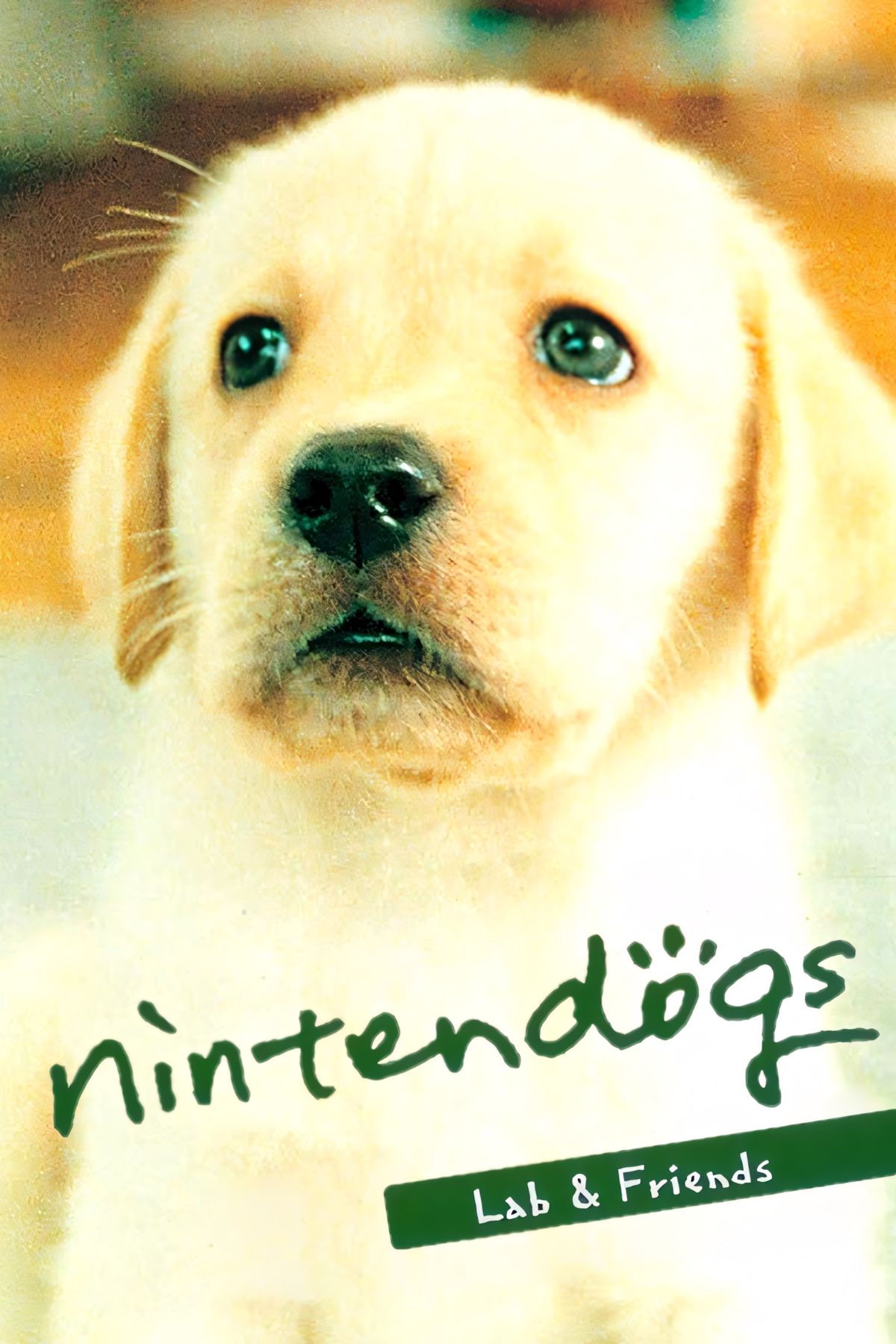 Nintendogs | Polygon
